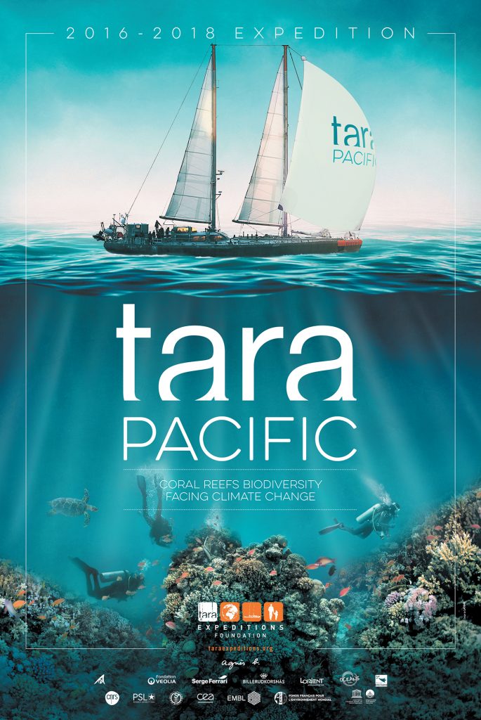 TARA PROJECT – SLOGAN